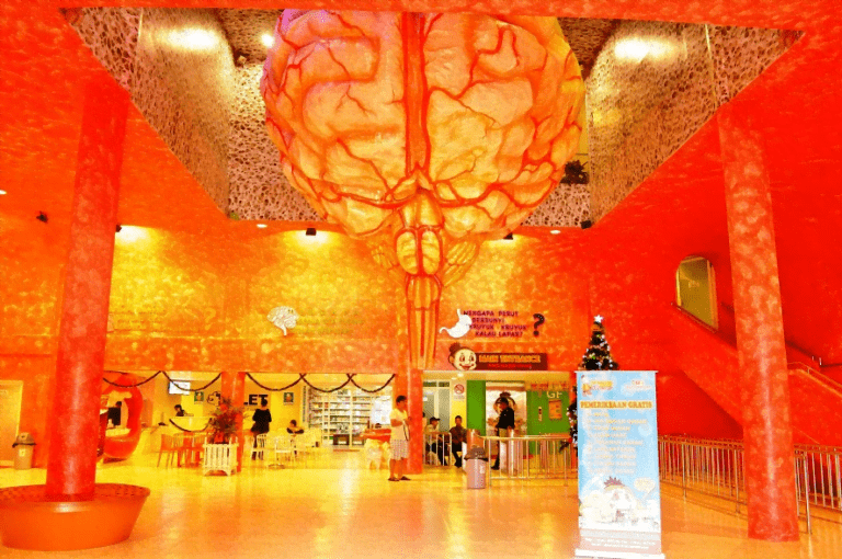 Serunya Edukasi Anatomi Tubuh Manusia Di The Bagong Adventure Museum