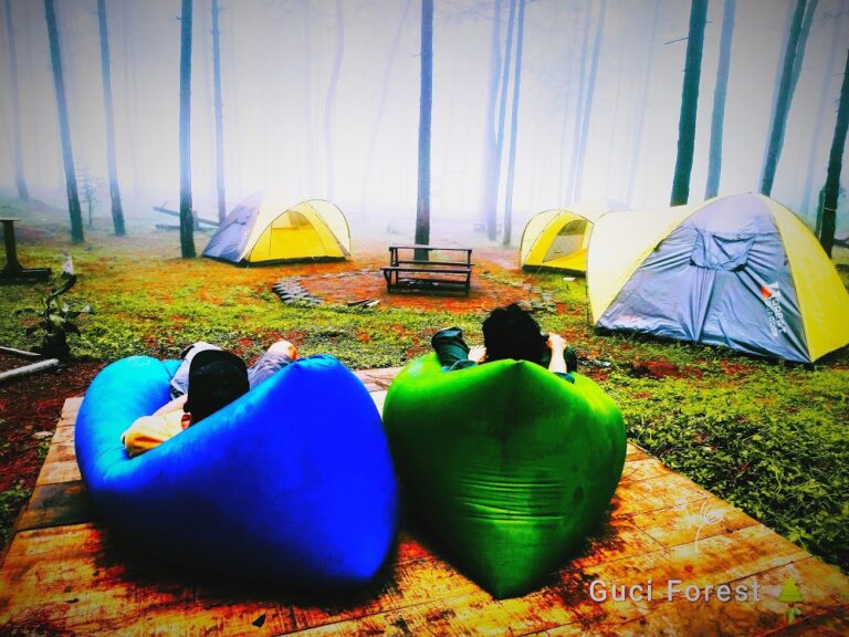 Guci Forest, Wisata Alam Tersembunyi Dengan Sejuta Pesona Hutan Pinusnya