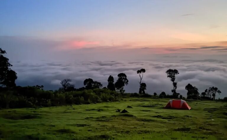 Buffalo Hill Garut, Wisata Sabana Sejuk Dengan Suasana Menyegarkan