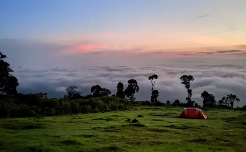 Buffalo Hill Garut, Wisata Sabana Sejuk Dengan Suasana Menyegarkan