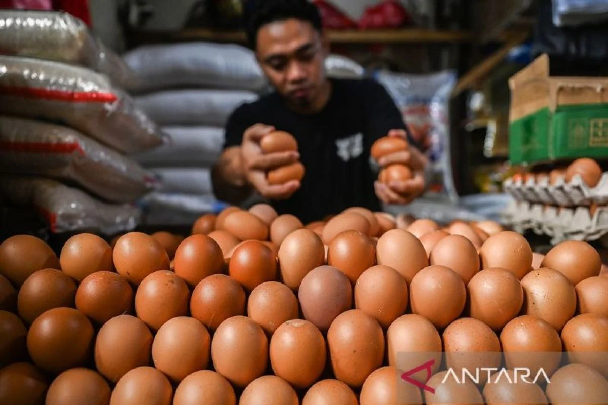 Harga Telur Ayam Dan Bawang Merah Naik, Data PIHPS Terbaru - Setapak ...